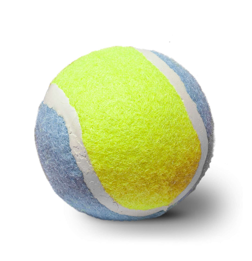 🎾 Bola de Ténis para Cães – Jaspet