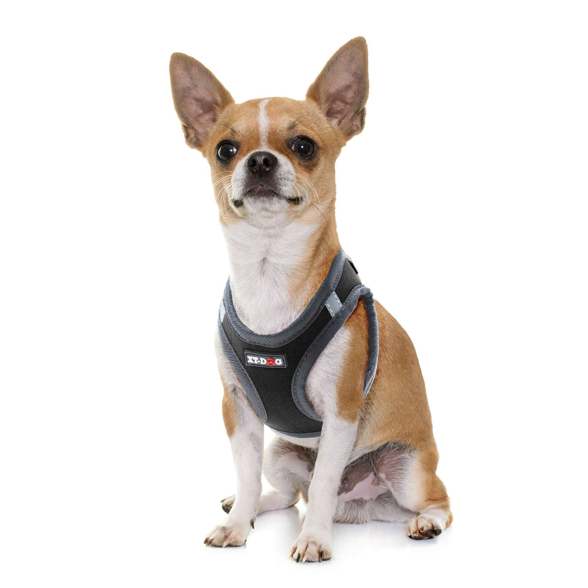 Peitoral XT-DOG NEO Preto 🖤🐾 – Jaspet